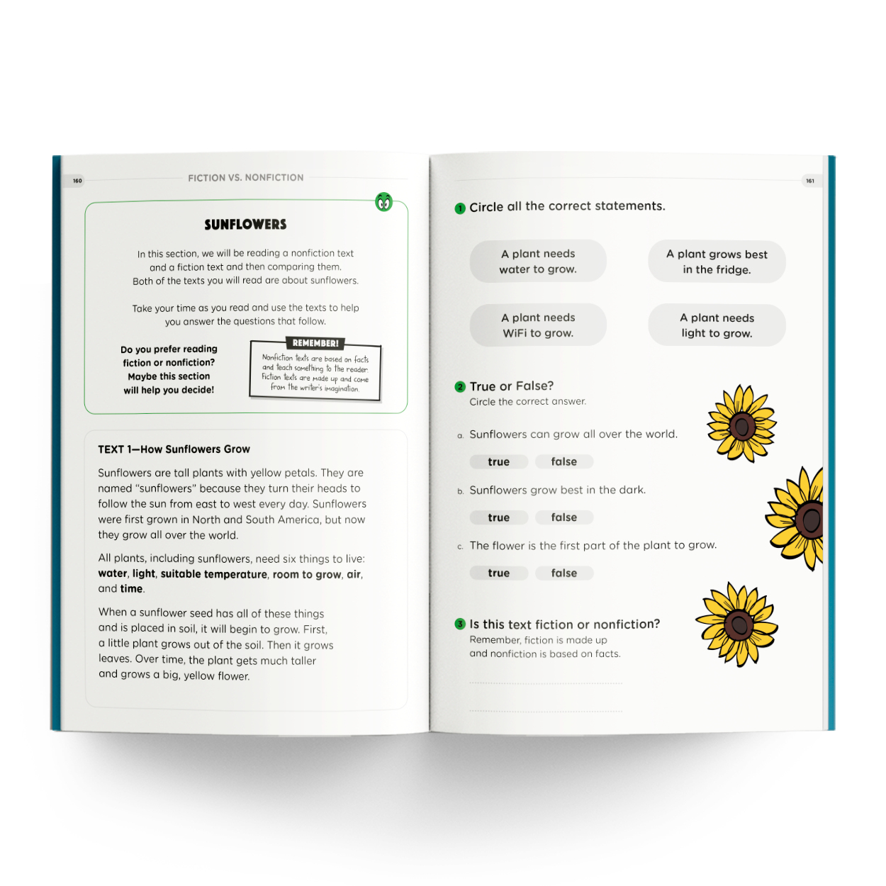 Second Grade English Wondrous Workbook + 3 months free of Word Tag ® V ...