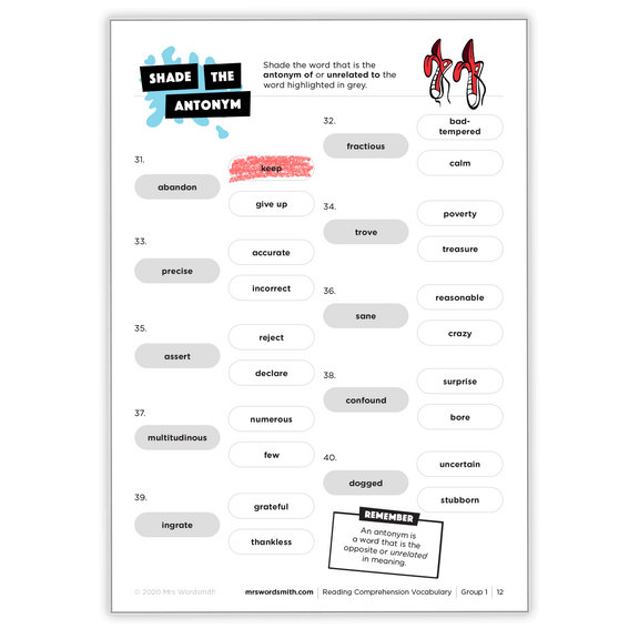 3 Months Free of Word Tag® Video Game with Vocabulary Set